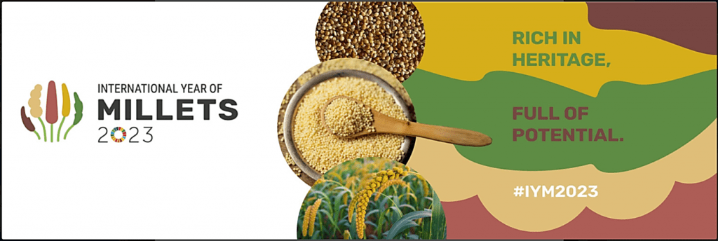 Millet Business Ideas: Empowering Millet Startups | AESA