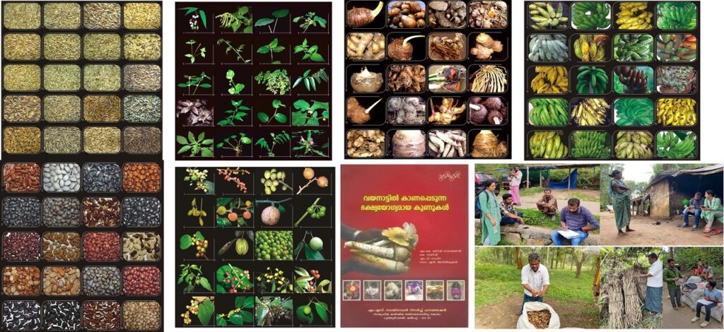 Blog 227-Seven Ways How Extension Can Mainstream Agrobiodiversity ...