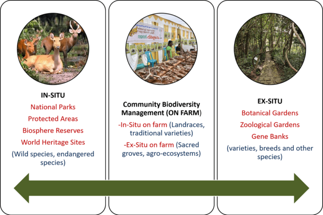 Blog 227-Seven Ways How Extension Can Mainstream Agrobiodiversity ...