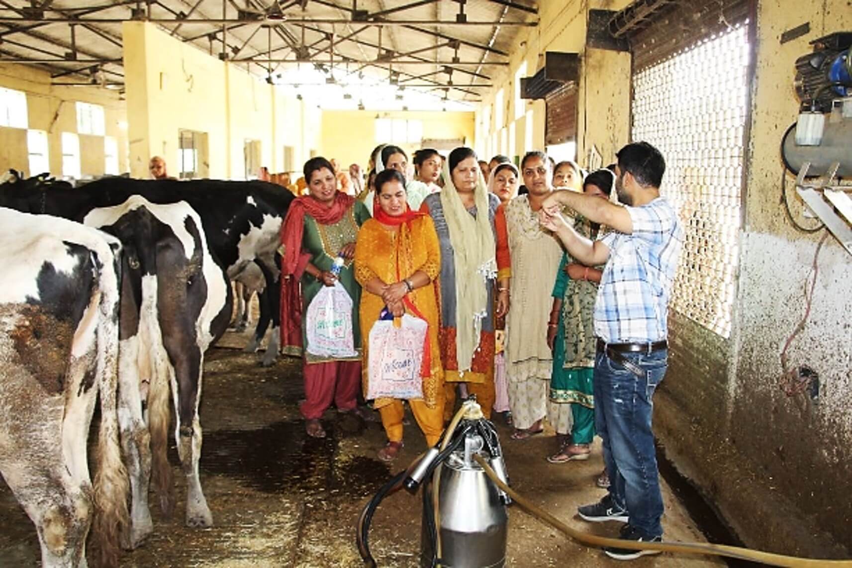Training And Capacity Building of Women in Livestock Farming | AESA
