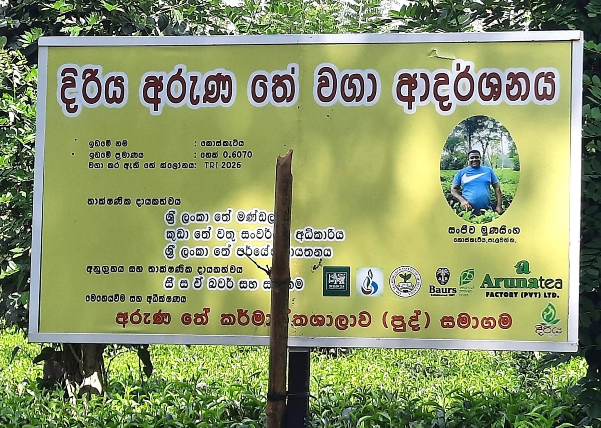 POPPY Approach in Action: How the Diriya Aruna Project Elevates Sri ...