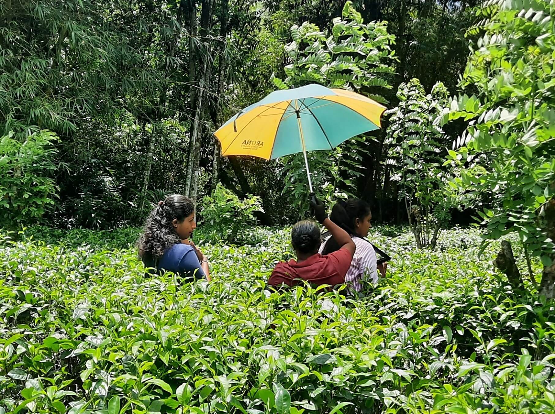 POPPY Approach in Action: How the Diriya Aruna Project Elevates Sri ...