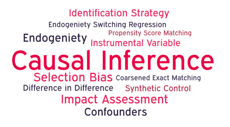 Causal Inference Series | AESA