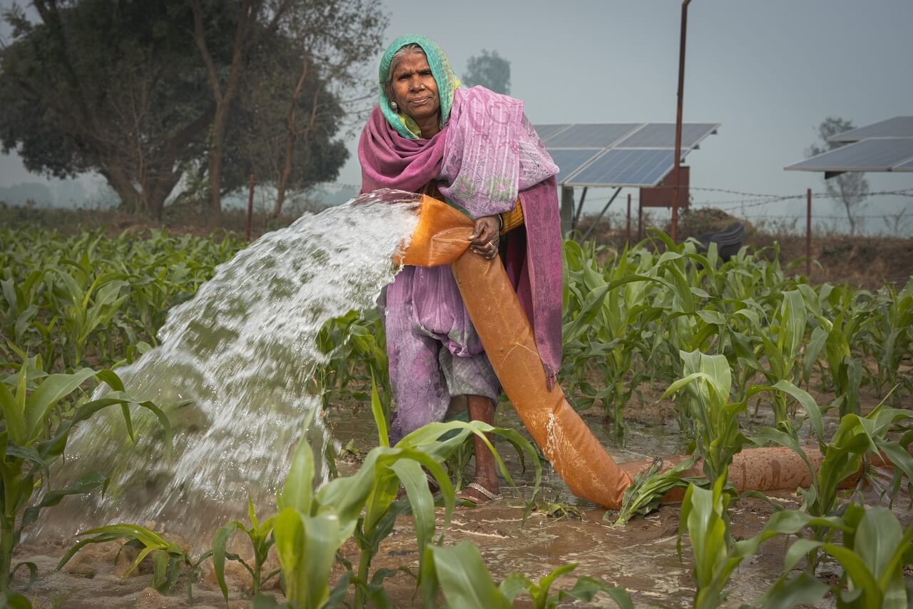 Powering Progress: Solar Irrigation for Women Farmers in Rural India | AESA