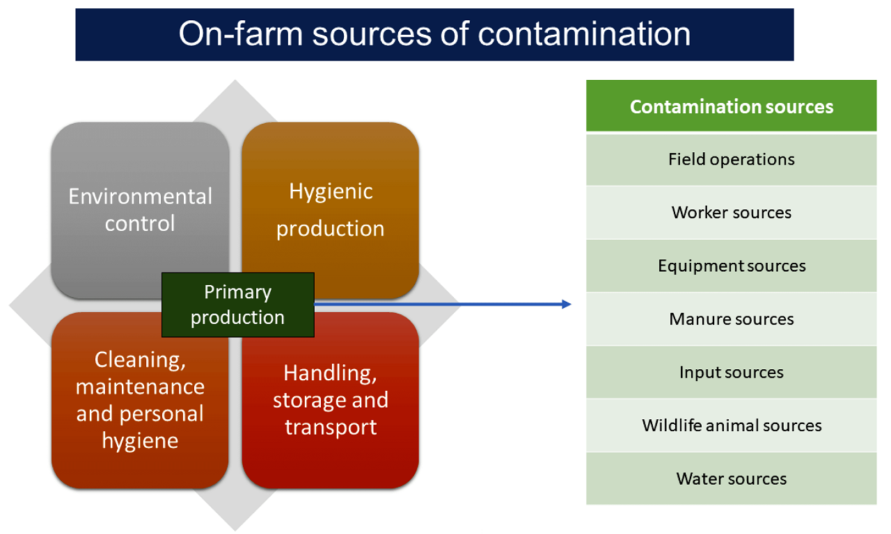 BLOG-244- Bridging the Gap: Why On-Farm Food Safety is an Extension ...