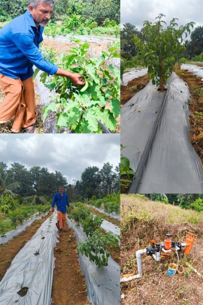 How Climate Resilient Agriculture Training is Transforming Rural ...