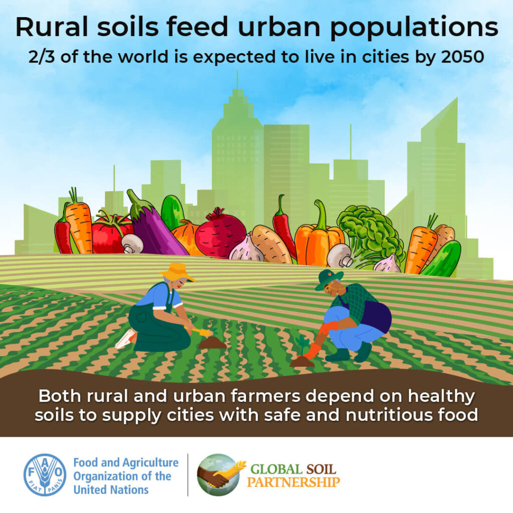 Blog-257-Soil Health Beyond Agriculture: Why Soil Matters in the Urban ...