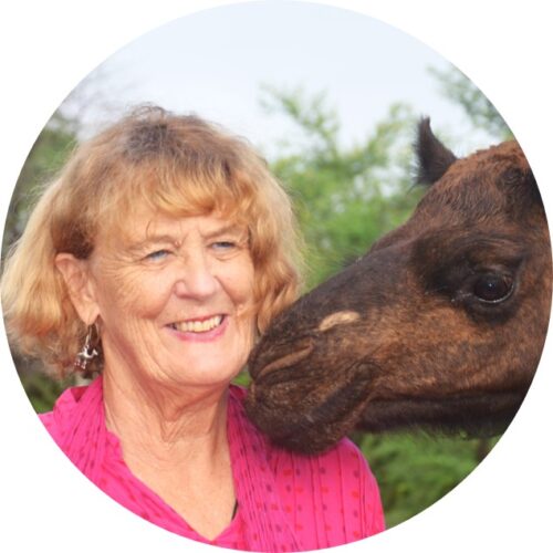 Blog-262-Why Is Access to Camels Vital for Maharashtra’s Pastoralists ...